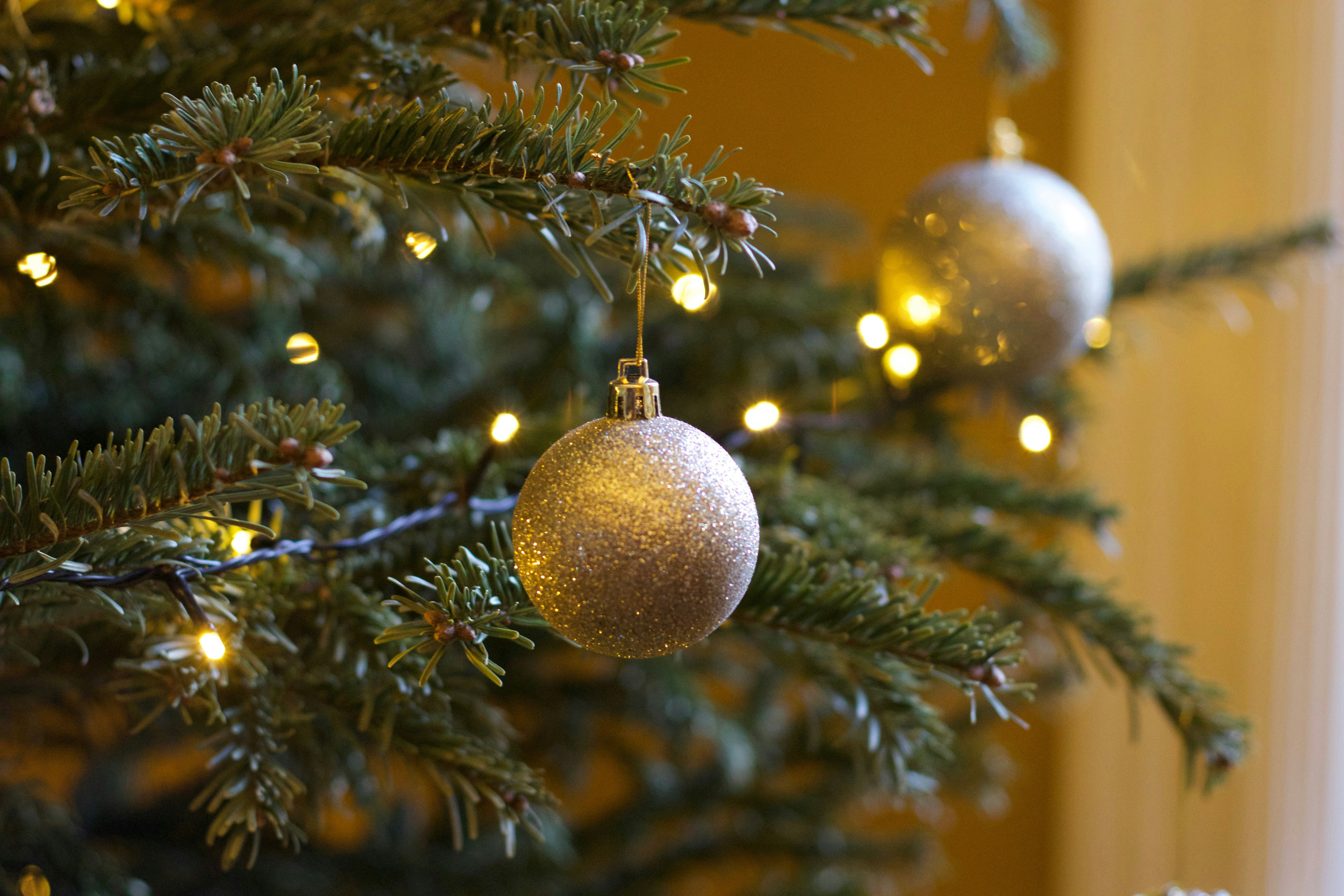 25 Days of Holiday Joy🌟 💫 – Life by Julia